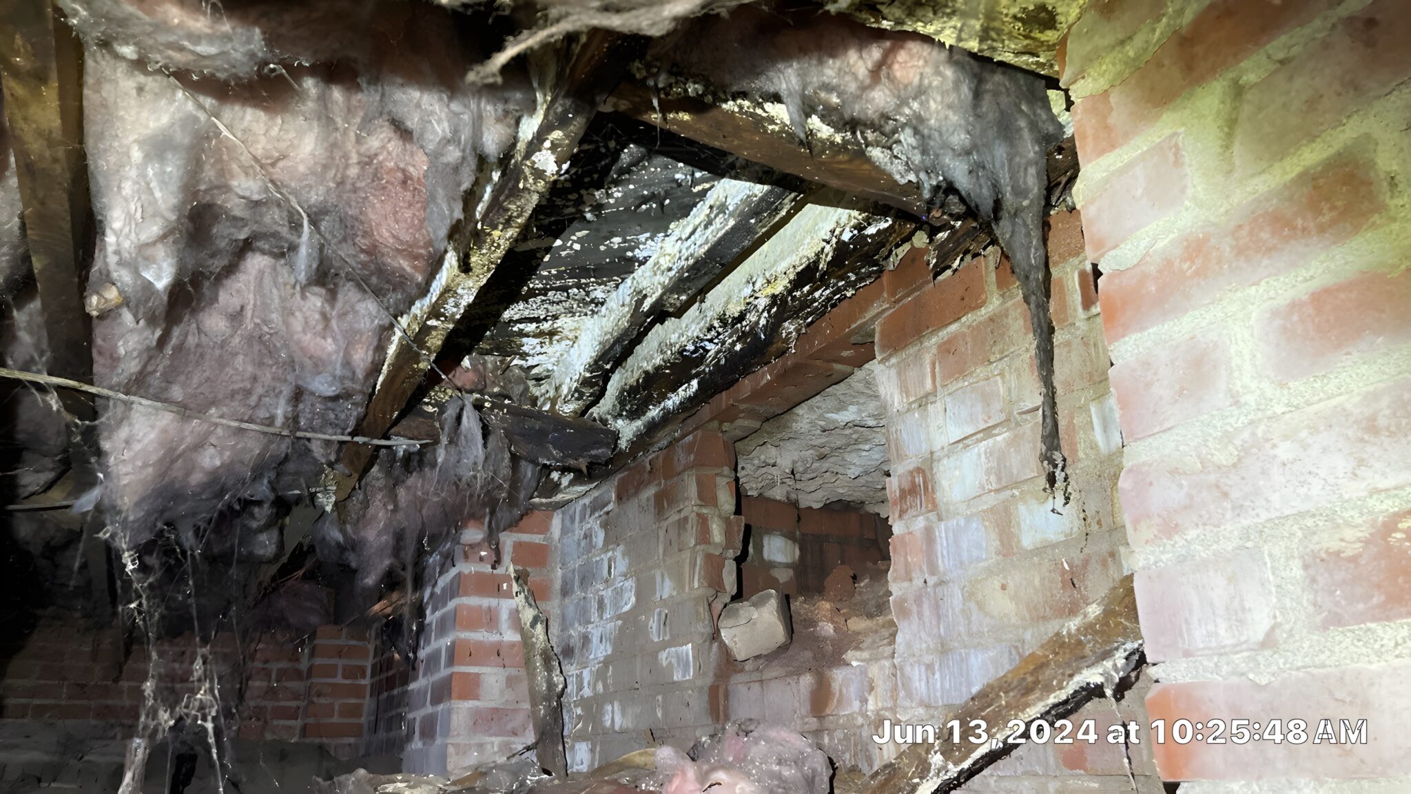 What is a Crawlspace? The Hidden World Beneath Your Home - Walsh Crawl ...